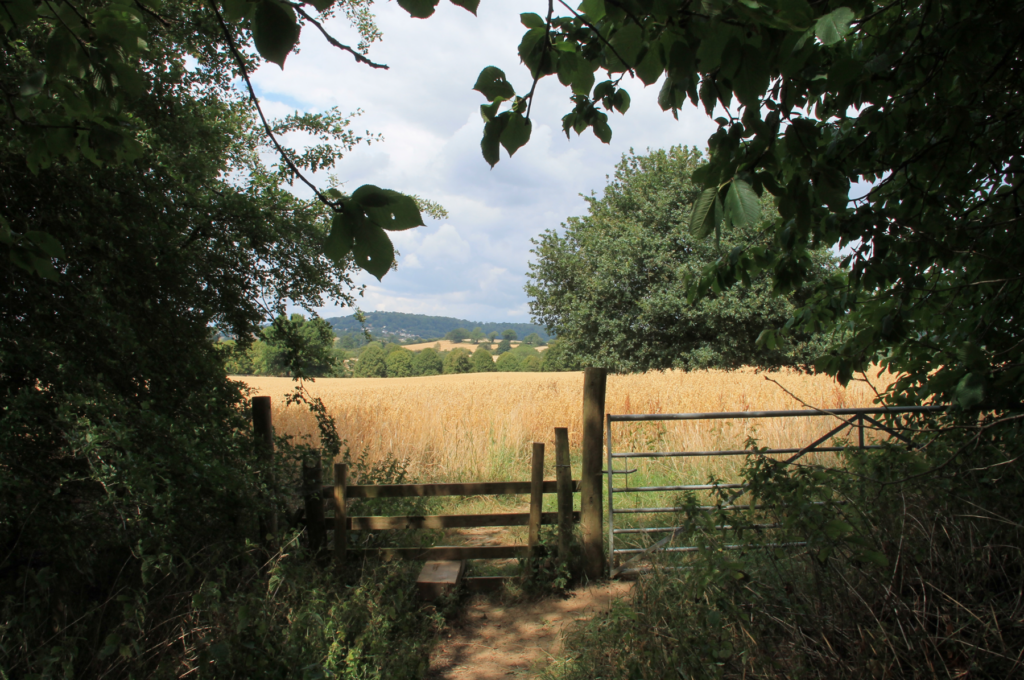Have a field day: Andrew Swift follows field paths and green lanes ...
