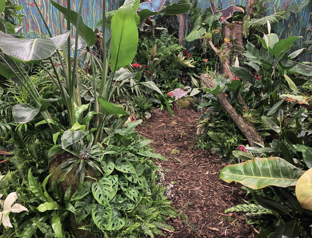 Gardening with Elly West: The green house effect - The Bristol Magazine ...